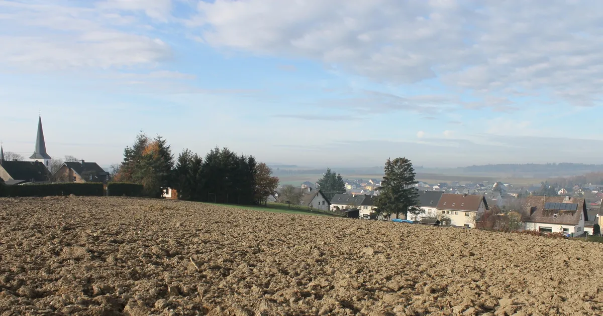 Wie Alflen Bioenergiedorf werden könnte - Kreis Cochem-Zell - Rhein-Zeitung