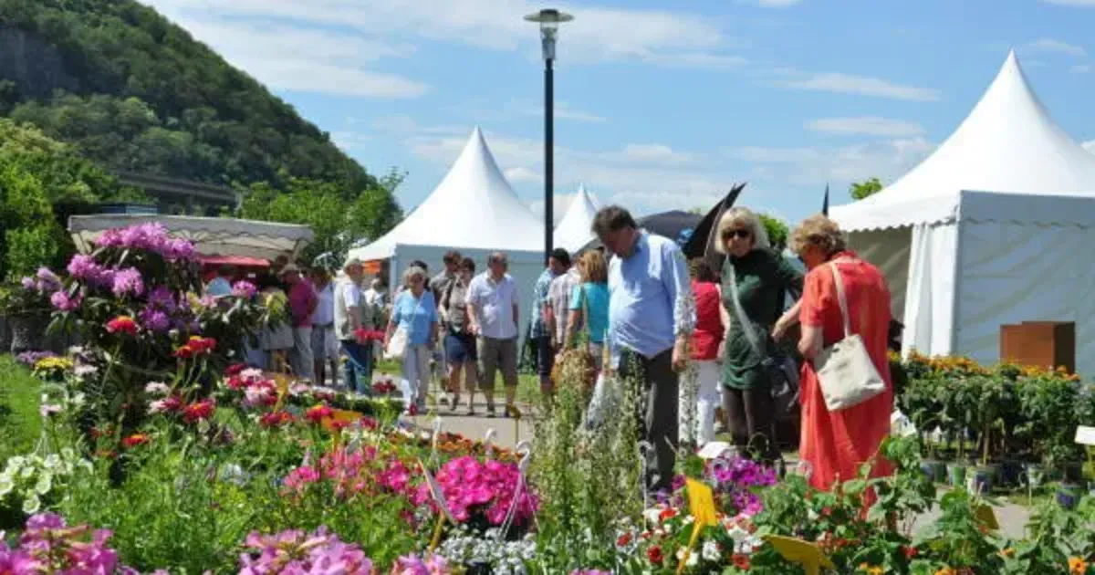 Andernach Haus Und Garten