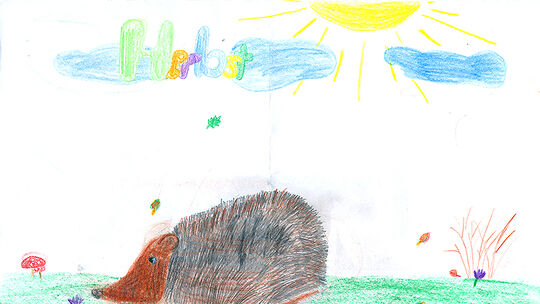 Kinderbilder 2013 - Startseite - Rhein-Zeitung