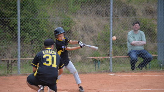 Mini-Cobras sammeln in Darmstadt Erfahrungen - Archiv - Rhein-Zeitung