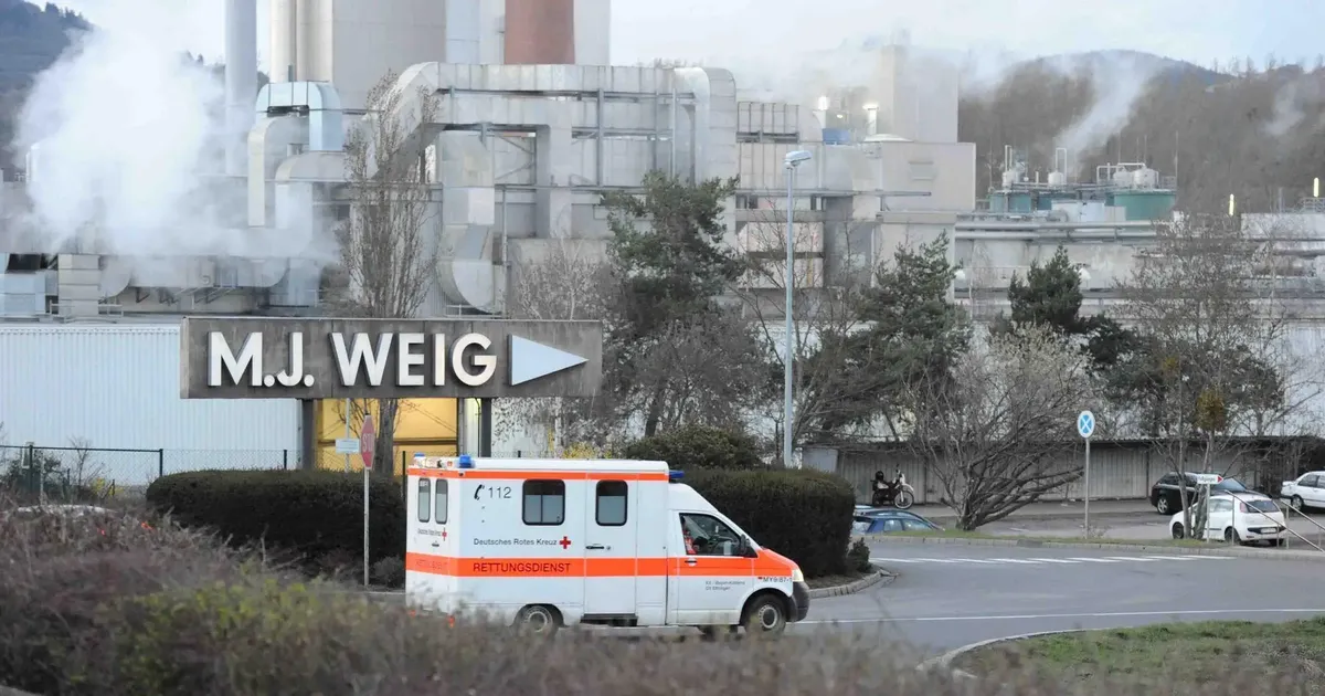 Kartonfabrik Weig in Mayen: Gefahrstoffunfall - Startseite - Rhein-Zeitung