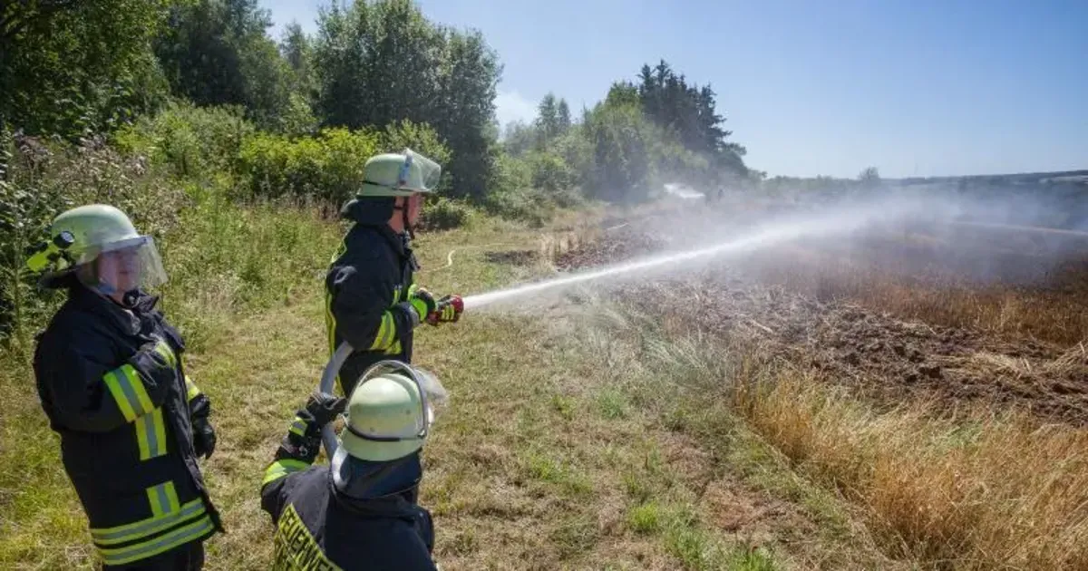 Feuerwehr löscht Flächenbrand bei Dohr - Kreis Cochem-Zell - Rhein-Zeitung