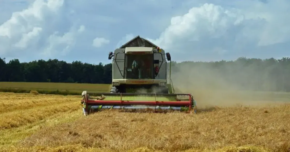 Hunsrück: Die Getreideernte hat begonnen - Rhein-Hunsrück-Zeitung ...