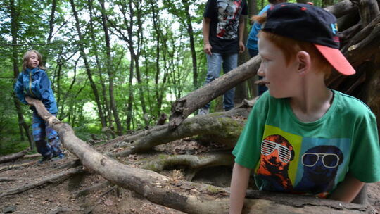 Überlebenstraining für Kinder: Forstamt bietet Abenteuer im Wald bei ...