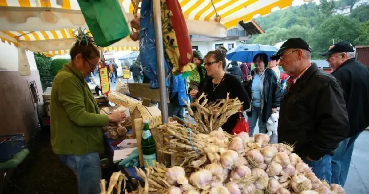Bauernmarkt in Berglangenbach: Besucher erfahren Landleben mit allen ...