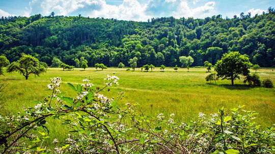 Initiative 25 neue Vorschläge, wie man das Dorf für die Zukunft fit ...