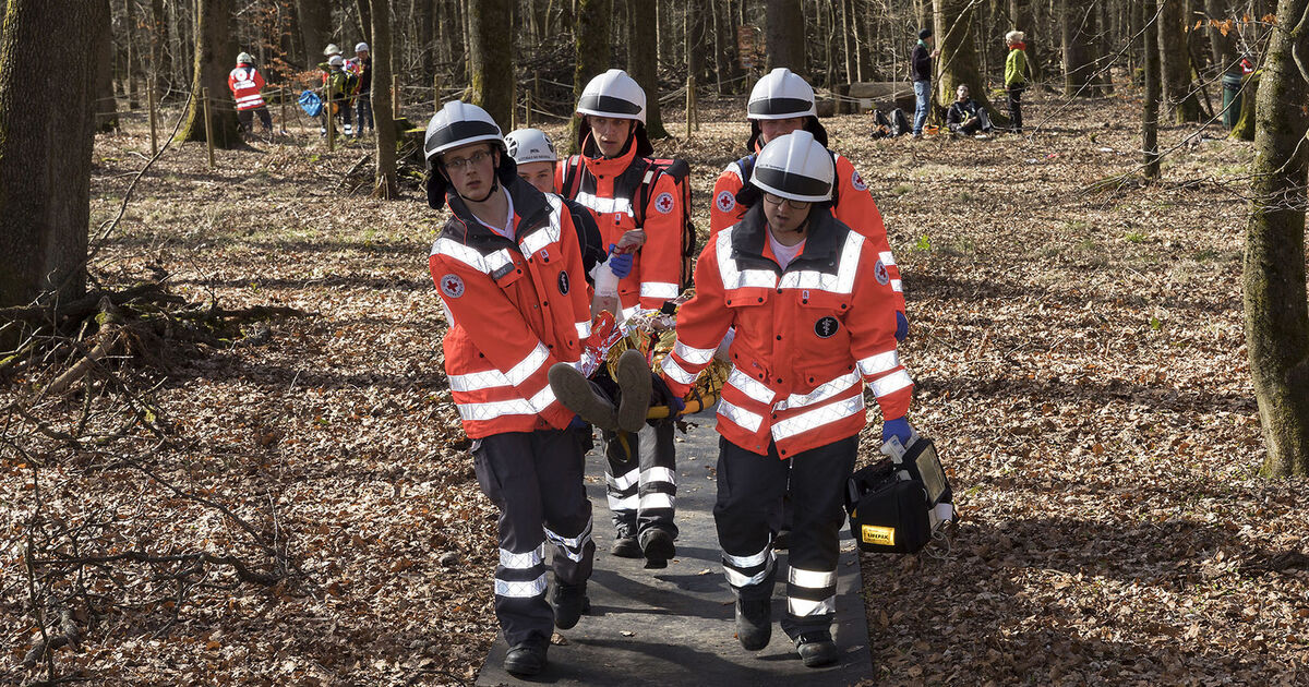 Sicherheit Jedes Jahr findet Erste-Hilfe-Kurs statt: Kletterwaldtrainer ...