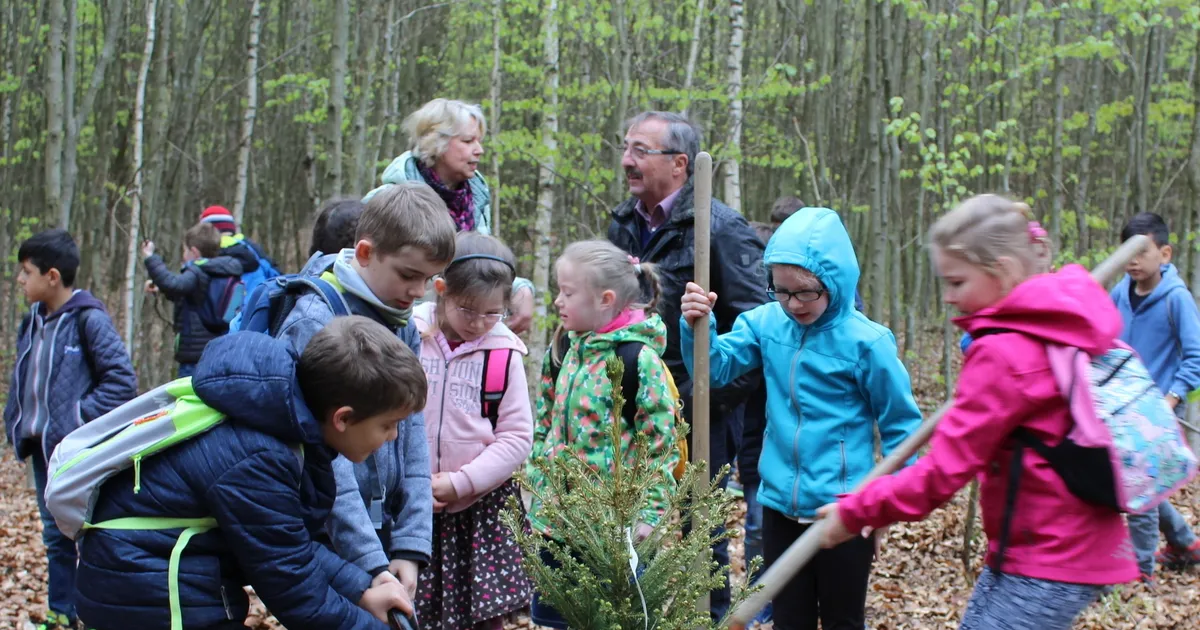 Kruft: Kinder bringen Baum des Jahres zum Sprießen - Andernach & Mayen ...