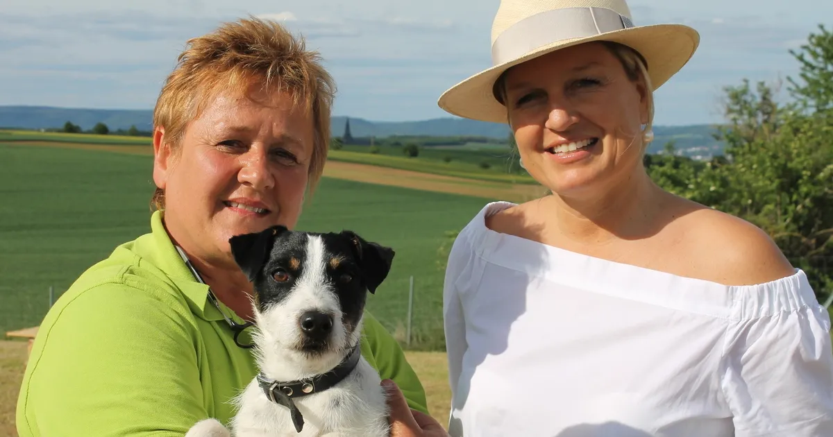 Talentwettbewerb Bei einem Casting im Tierheim Koblenz konnten ...