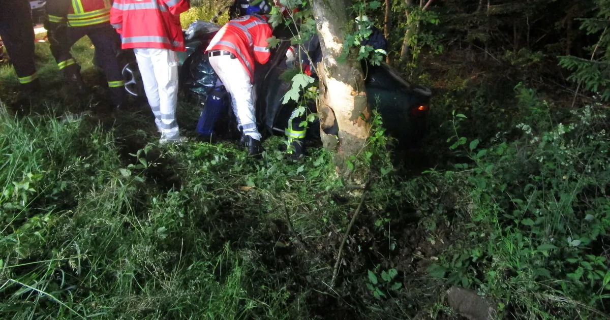 Reidenhausen: Junge Frau weicht Reh aus und prallt gegen einen Baum - Kreis Cochem-Zell - Rhein ...
