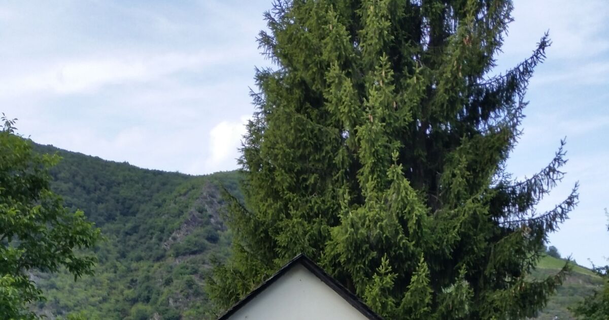 Bundestagswahl Zwei Bezirke in St. Goar zusammengelegt - SPD-Ortsverein ...