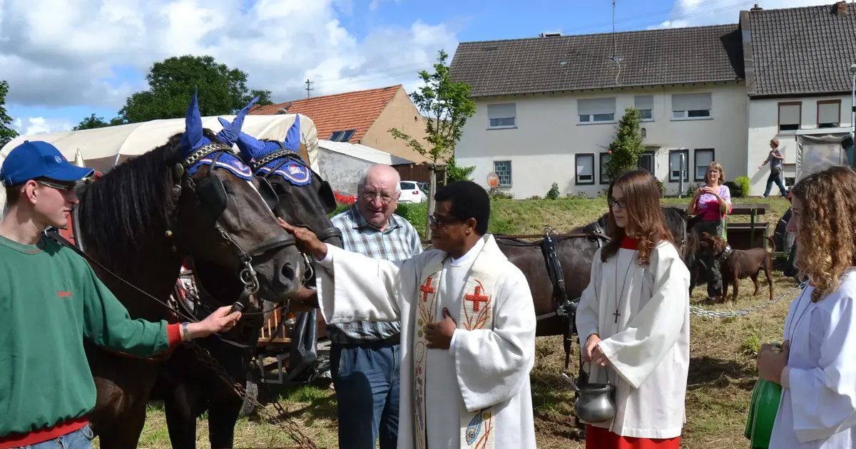 Kirche Für die Würde der Tiere sensibel bleiben: Sensibel bleiben: Tier- und Kräutersegnung ...
