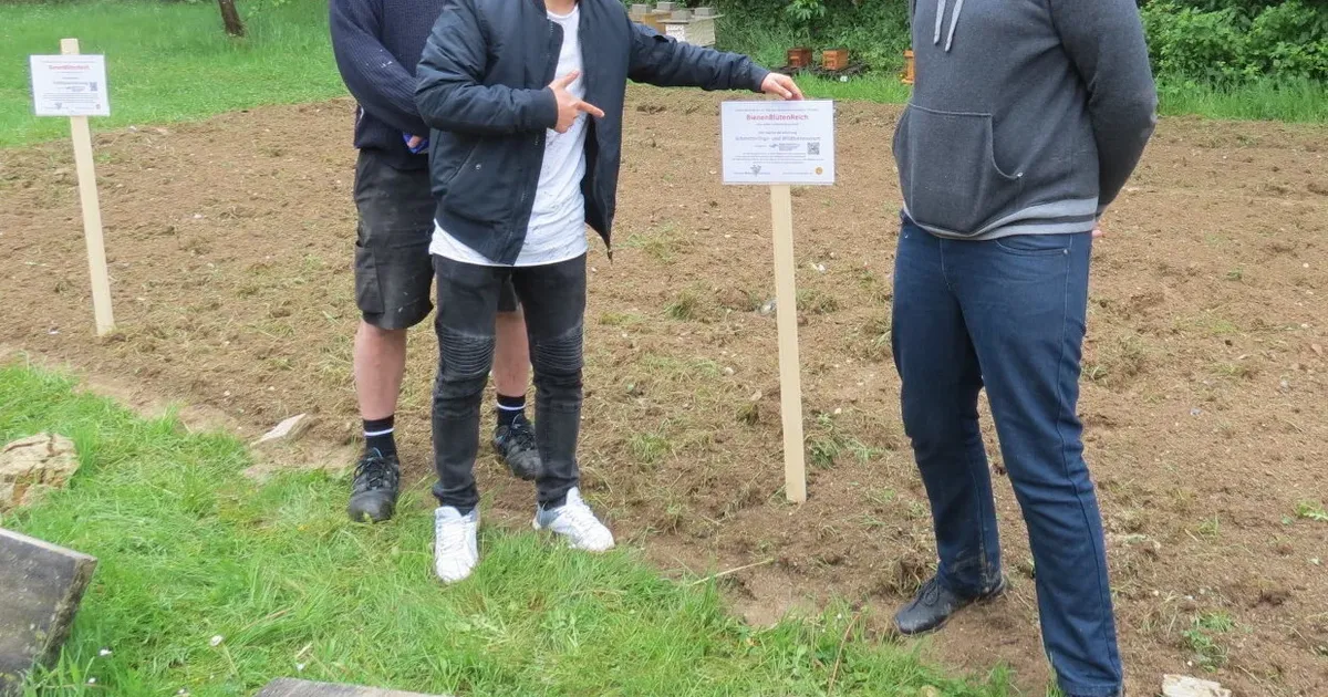 Bienen willkommen: Schüler erfüllen Blühfläche mit neuem Leben - Rhein-Hunsrück-Zeitung - Rhein ...