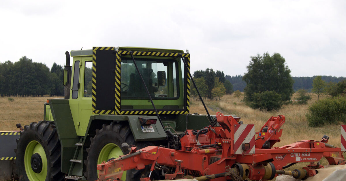 Naturerbe DBU hat Landwirt Michael Buhl mit der Mahd einer Teilfläche ...