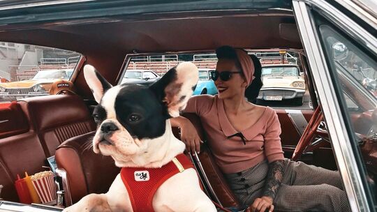 Paradiesvögel: Sarah Speth und Mario Schierhorn leben die 50er-Jahre ...