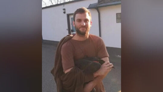 Zoopfleger können entflogenen Hornraben unversehrt wieder einfangen ...