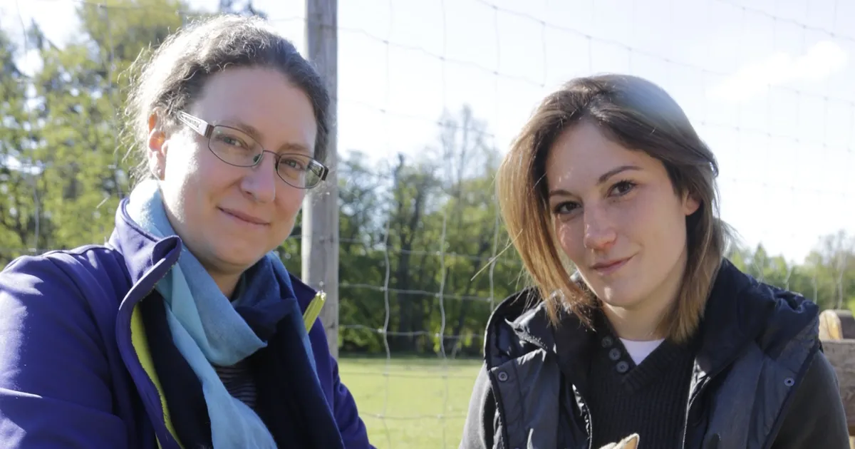 Wildenburg: Wildfreigehege ist startklar für die neue Saison - Nahe ...