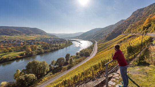 Tourismus in Cochem-Zell: Nicht überall ist eitel Sonnenschein - Kreis ...