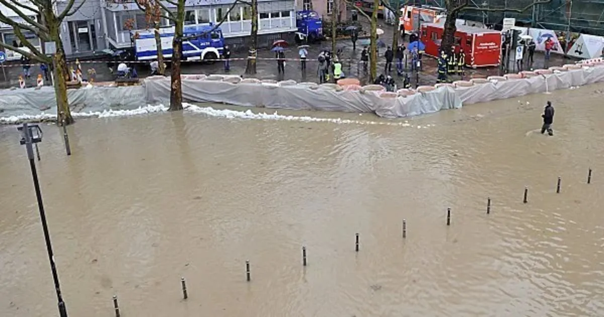 Land unter am Main: Hochwasser steigt weiter - Archiv - Rhein-Zeitung