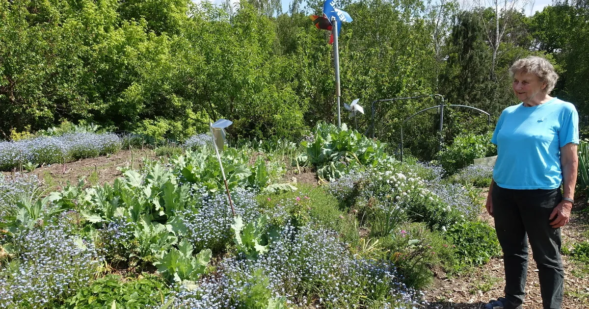 Beate Koch verbessert auf ihrem einstigen Geschäftsareal die ...
