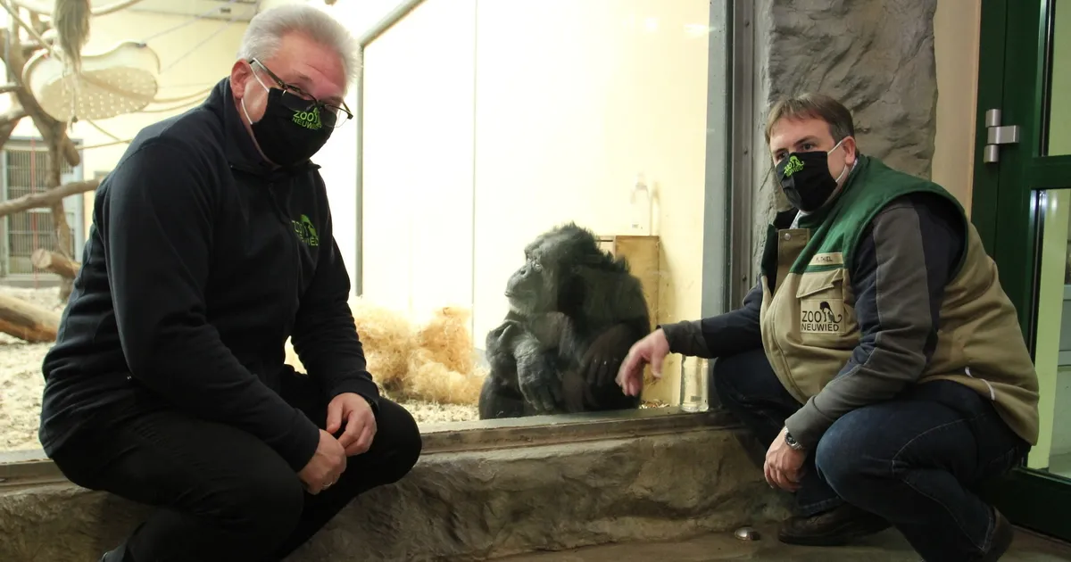 Neuwieder Zoo ist seit Montag Corona-bedingt geschlossen - Für Direktor ...