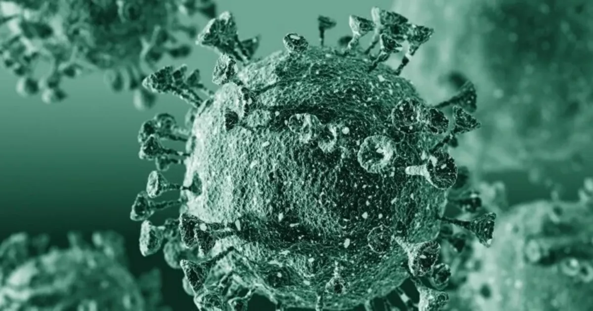 Sieben-Tage-Inzidenz im AW-Kreis liegt bei 94: Corona: 33 weitere Infektionen im Kreis Ahrweiler ...