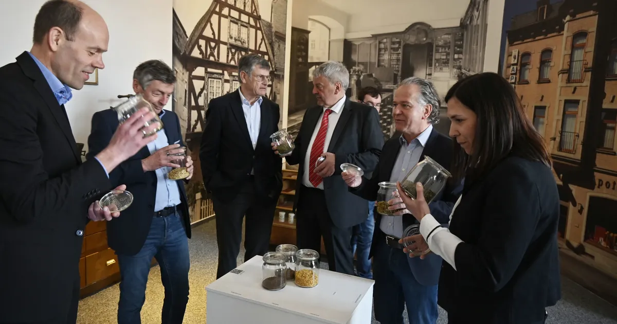 Hunsrück-Museum beleuchtet medizinische Versorgung zwischen 1800 und ...