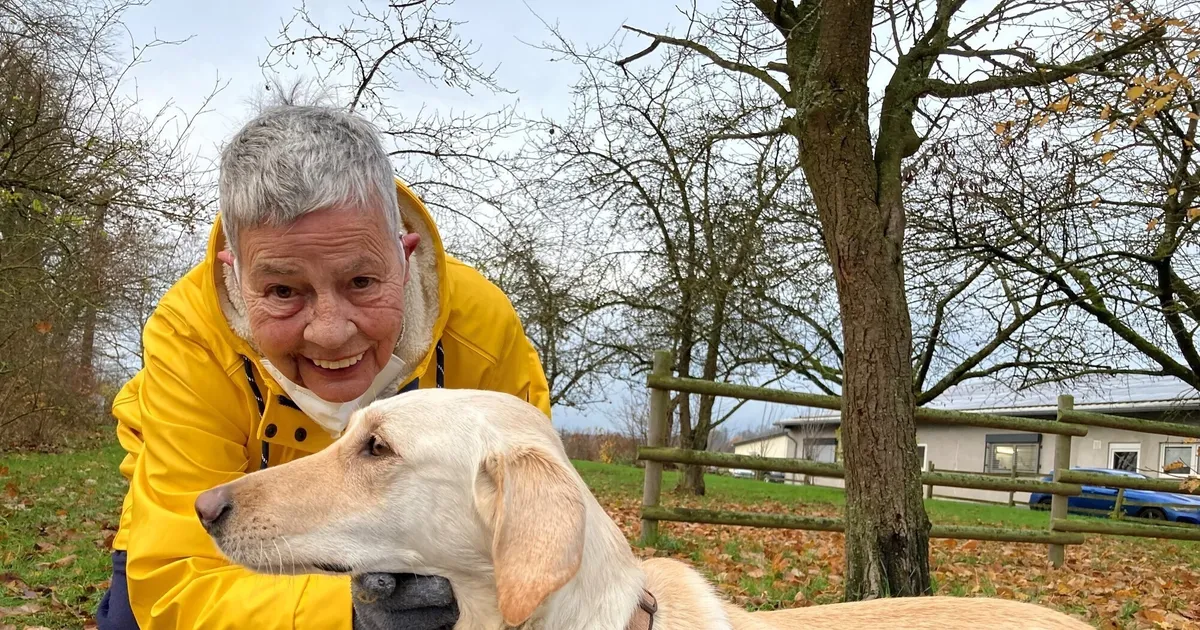 Passant entdeckt Vierbeiner bei Wirges - Tier ist wohlauf zurück bei der Halterin: Hündin war ...