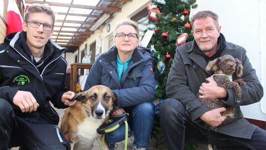 Für Claus-Peter Krah könnte eine eingegrenzte Silvesterknallerei den ...
