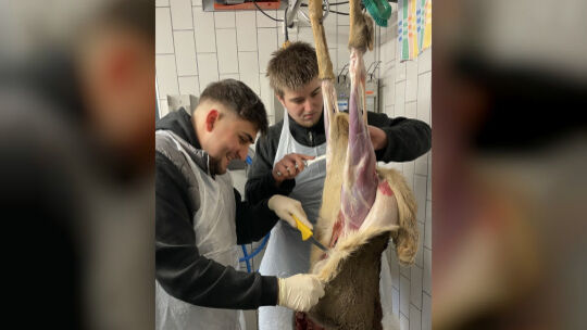 BBS Montabaur verlegt Unterricht zu Jäger undGastronom Guido Jacobs in ...