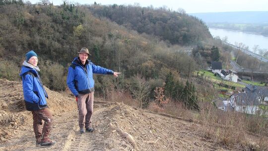 Kay Thiel bewirtschaftet alten Wingert auf dem Gertrudenberg: Kay Thiel ...