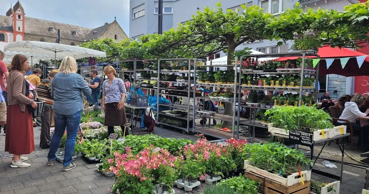 Von kulinarischen Genüssen über Pflanzen bis zu Kunsthandwerk - Mehr als 120 Aussteller erwartet ...