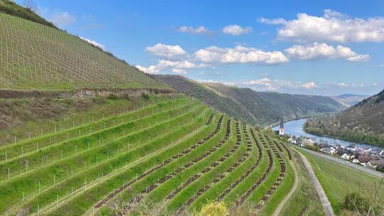 Bereits der Vierte in Cochem-Zell: Klotten als Leuchtpunkt ...
