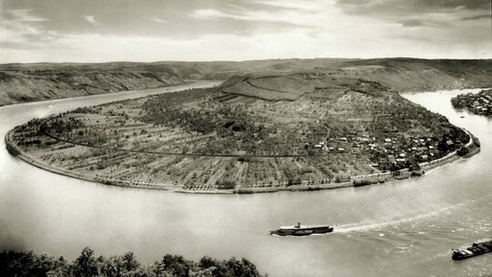 Rheinromantik trifft Urwalddickicht: Landschaftsausstellung mit Fotos ...