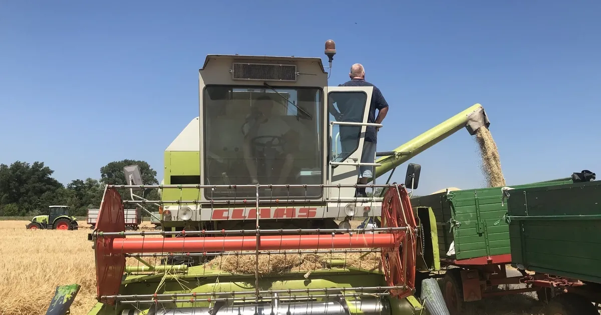 Klimawandel macht der Landwirtschaft zunehmend zu schaffen - Ertrags- und Einkommenseinbußen ...