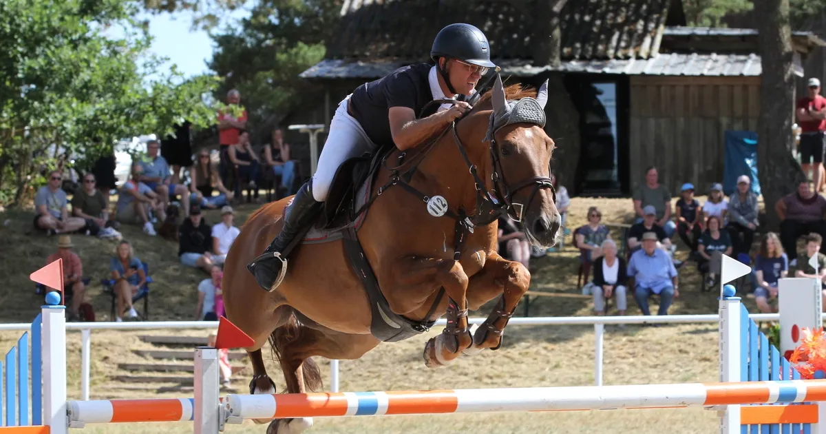 Springreiten: Von Freitag bis Sonntag findet in Regulshausen das große ...