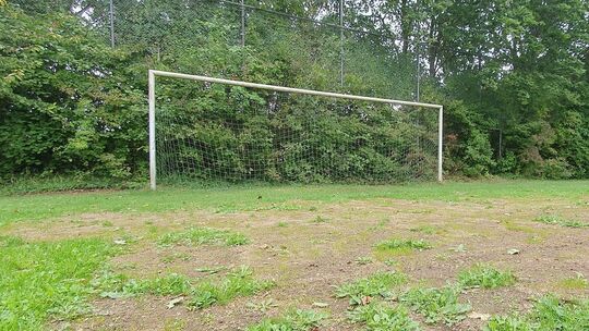 „Längst vergessene Sportplätze“: Der TuS Boos glänzte auf dem ...