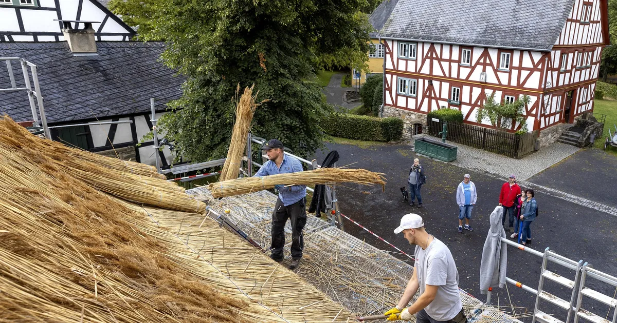 Nordische Winde wehen durchs Landschaftsmuseum: Ölmühle bekommt ein ...