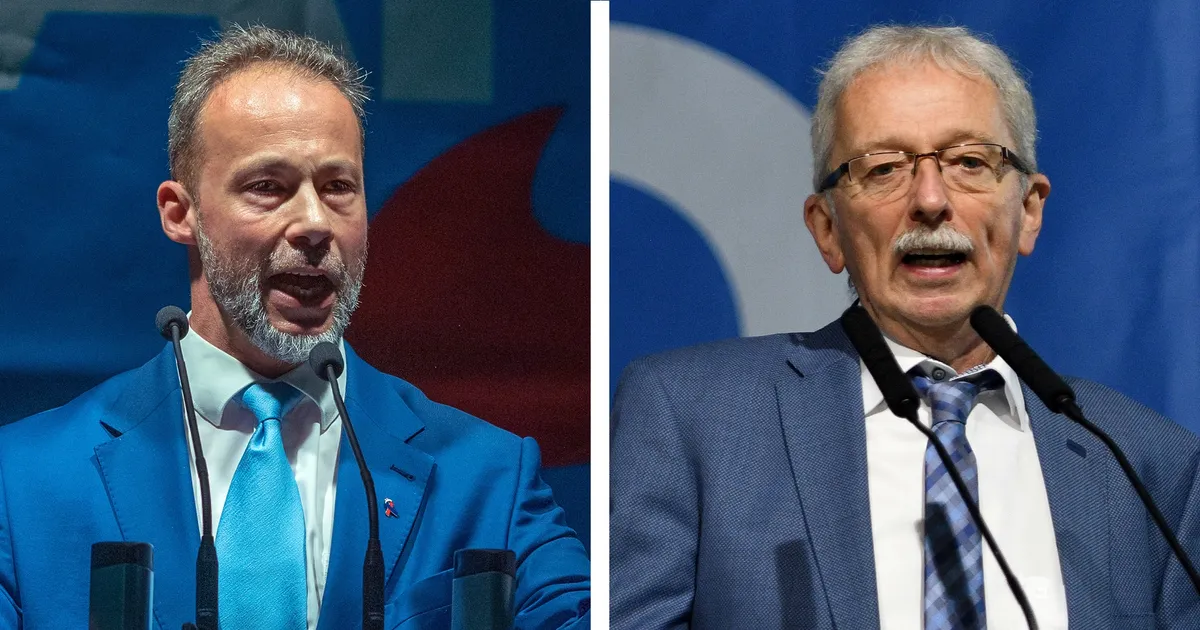 Machtkampf in der AfD: Jan Bollinger verdrängt Michael Frisch von ...