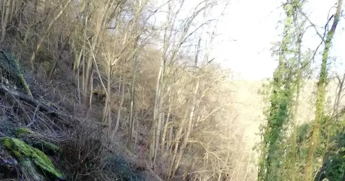 Taucher müssen nun prüfen, wo genau sich das Wasserfahrzeug befindet ...