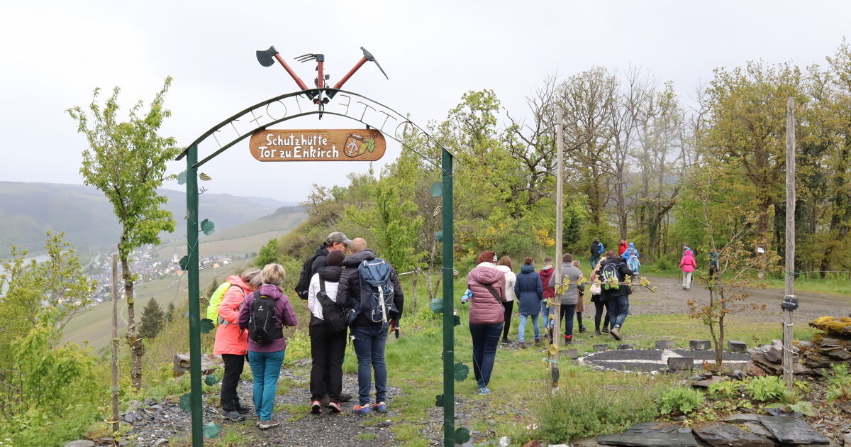Mit der "Zollturm-Steige" gibt es nun rund um Traben-Trarbach drei neue ...