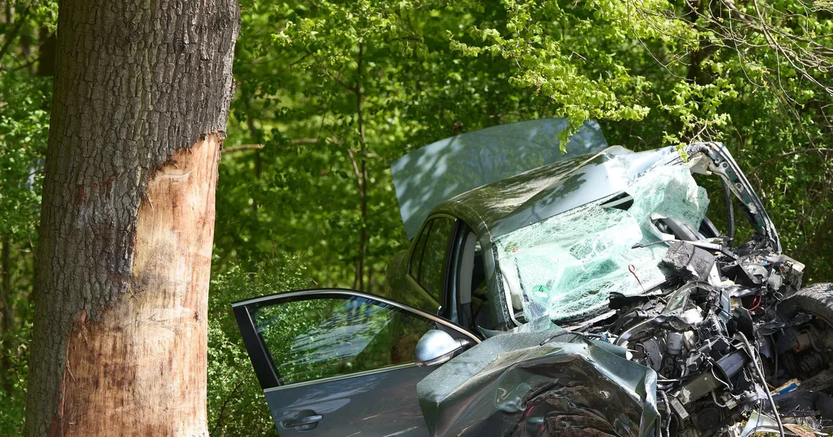 Frontal gegen Baum: Autofahrer stirbt auf der L 337 bei Nastätten - Rhein-Lahn-Zeitung - Rhein ...