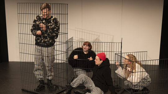 Das Stück "Was das Nashorn sah, als es über den Zaun schaute", das ...