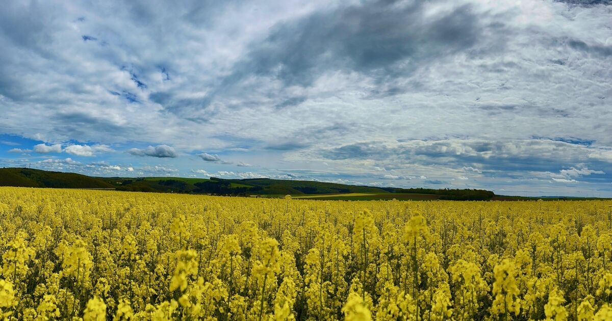 April machte seinem wankelmütigen Ruf alle Ehre: Von Frühsommer bis ...