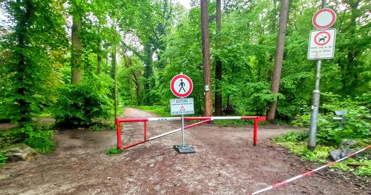 Diezer Hain: Arbeiten starten nächste Woche – Stadtwald soll Anfang ...