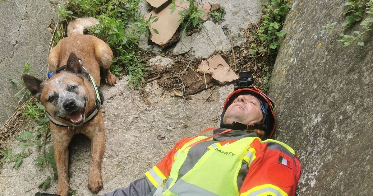 Polcher Suchhundeteam ist zurück von Übung aus Kalabrien: Einsatz in ...