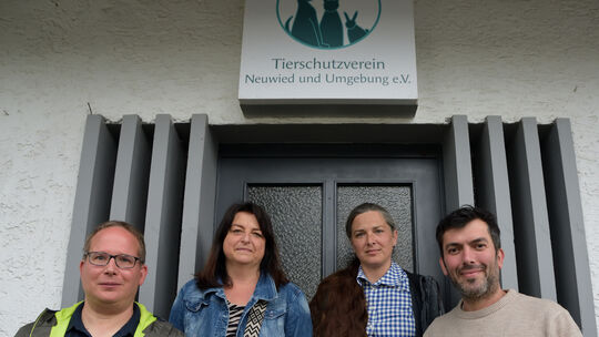 Nach Ablehnung im Asbacher VG-Rat: Das Thema Katzenschutzverordnung ...