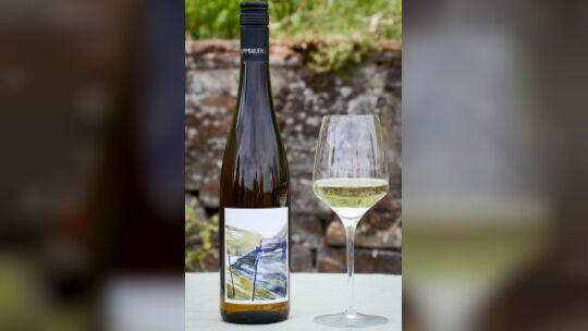 Lieblicher Riesling des Weinguts Philipps-Mühle trifft Urban Sketchers ...