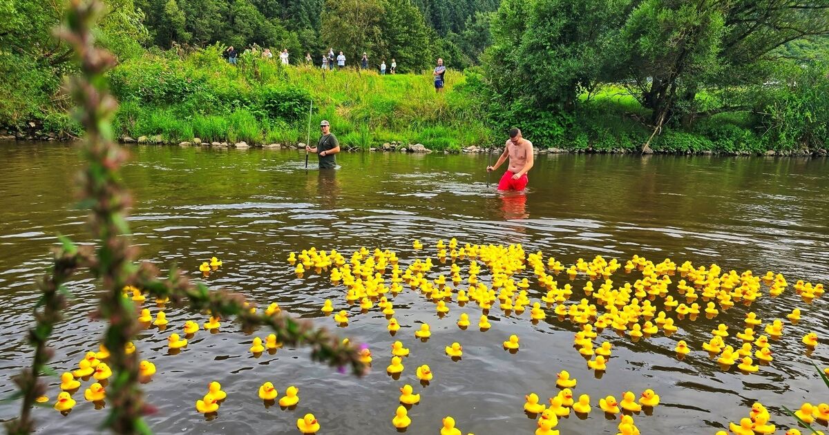 Hellberg-Kerb traditionell eröffnet : 420 gelbe Enten liefern sich ...