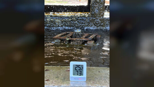 Die Hitze-Hotspots in Bad Kreuznach: Mit bis zu 47 Grad um 15 Uhr ist ...